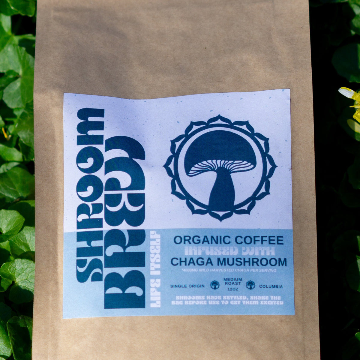 Shroom Brew Mushroom Coffee – Life Itself